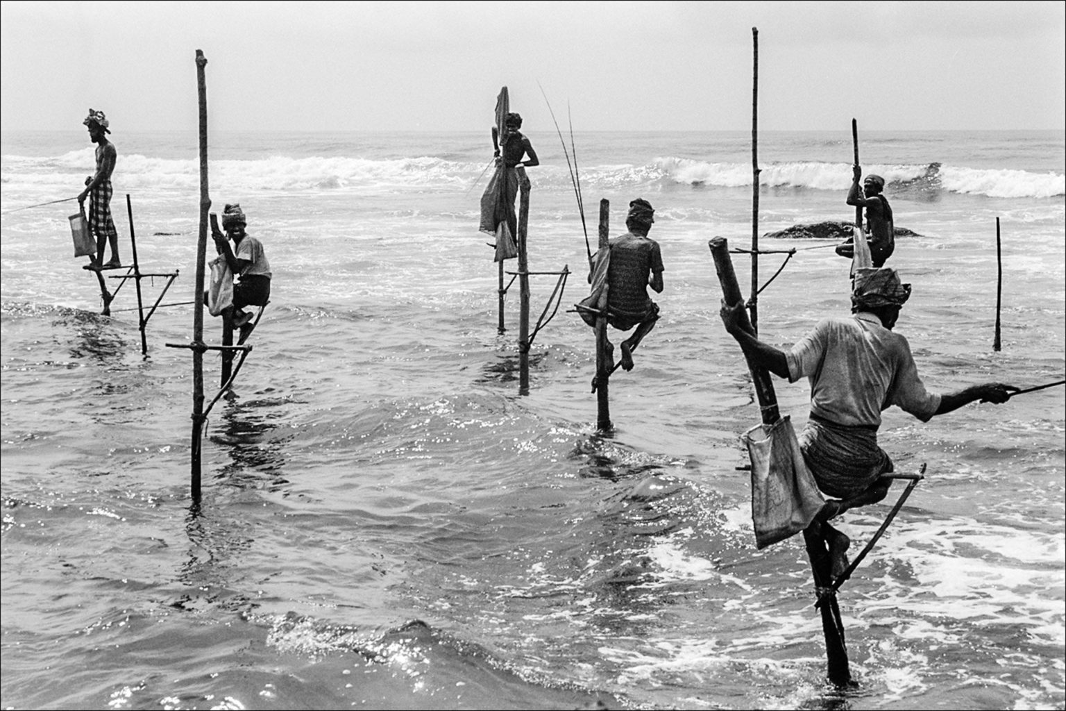 Accueil - Xavier Roy