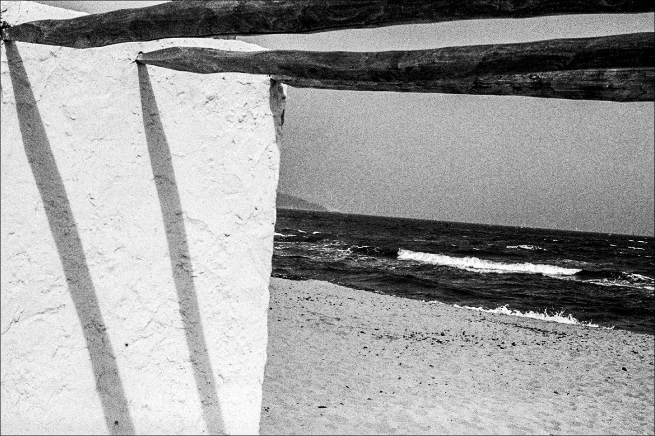 Accueil - Xavier Roy